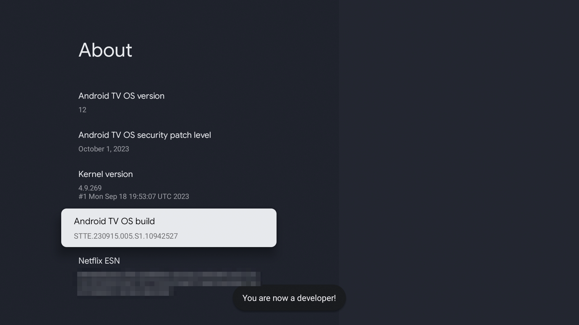 Tutorial: How-to Install Reolink to Chromecast with Google TV (CCWGTV ...